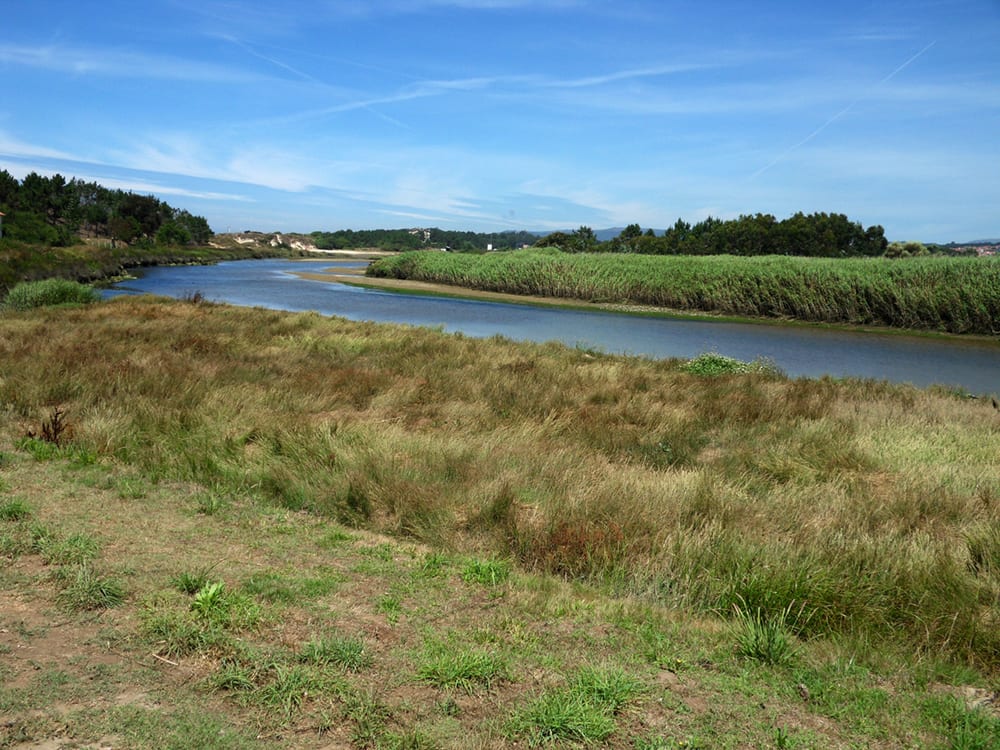 Parque Natural do Litoral Norte: praia e muito mais! - Pumpkin.pt