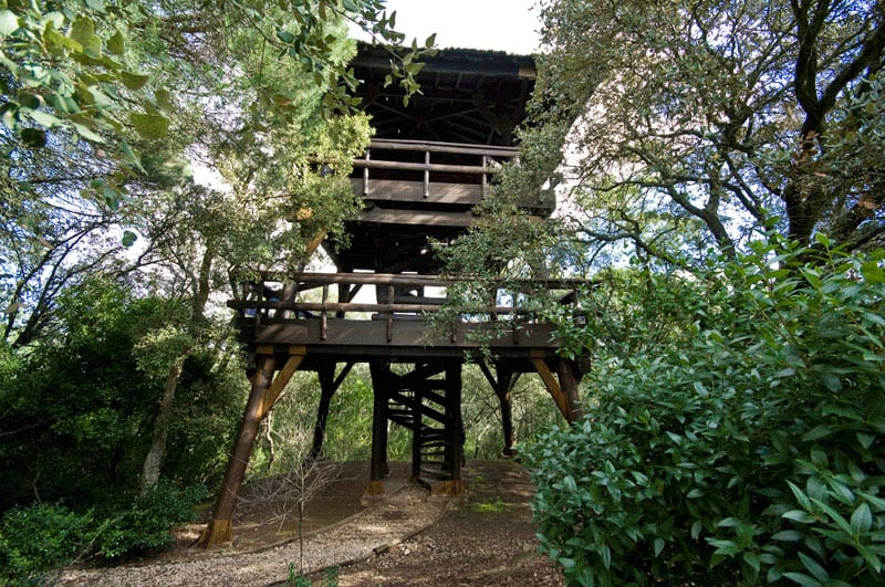 Parque Monsanto, uma floresta no meio da cidade - Pumpkin.pt